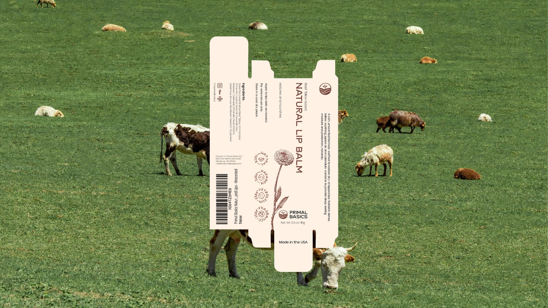 Template ng Portfolio ng Bagong Brand 2026 - Big Red Jelly